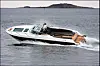 Gull til gullfisk